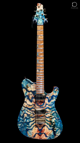 Warmoth Burl Fusion Series Meadowhawk - hamburg | custom electric ...