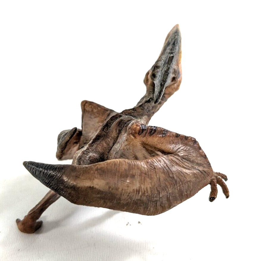 TUPUXUARA - Papo Prehistoric Pterosaur Small Pterodactyl Dinosaur | eBay