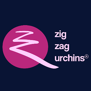 Zig Zag Urchins | eBay Australia Stores
