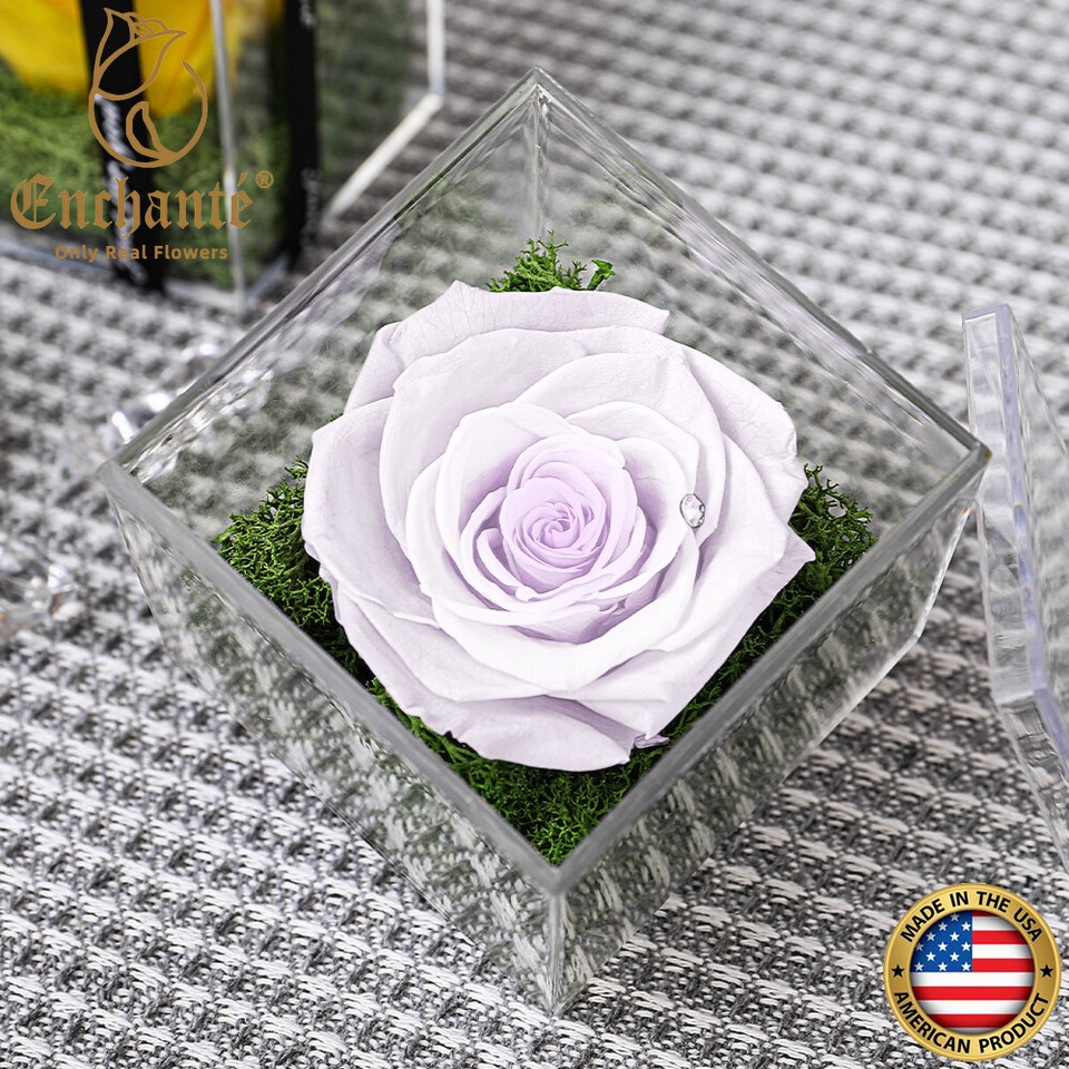 REAL Preserved Eternity Forever Rose Ring Box Proposal Valentine's Day ...