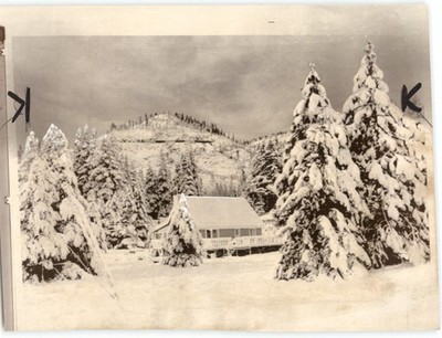 Beautiful SNOW COVERED Trees & House of TRUCKEE California 1971 Press ...
