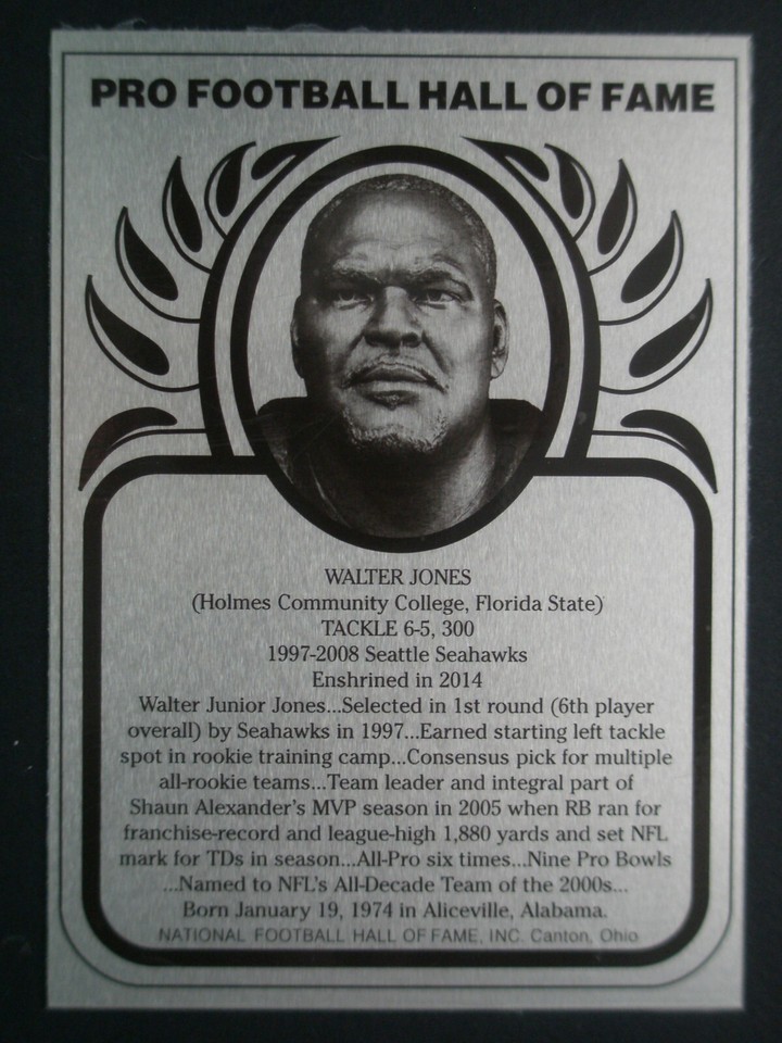 Pro Football Hall of Fame Metal Metallic Bust Cards Mint Aluminum - NFL ...