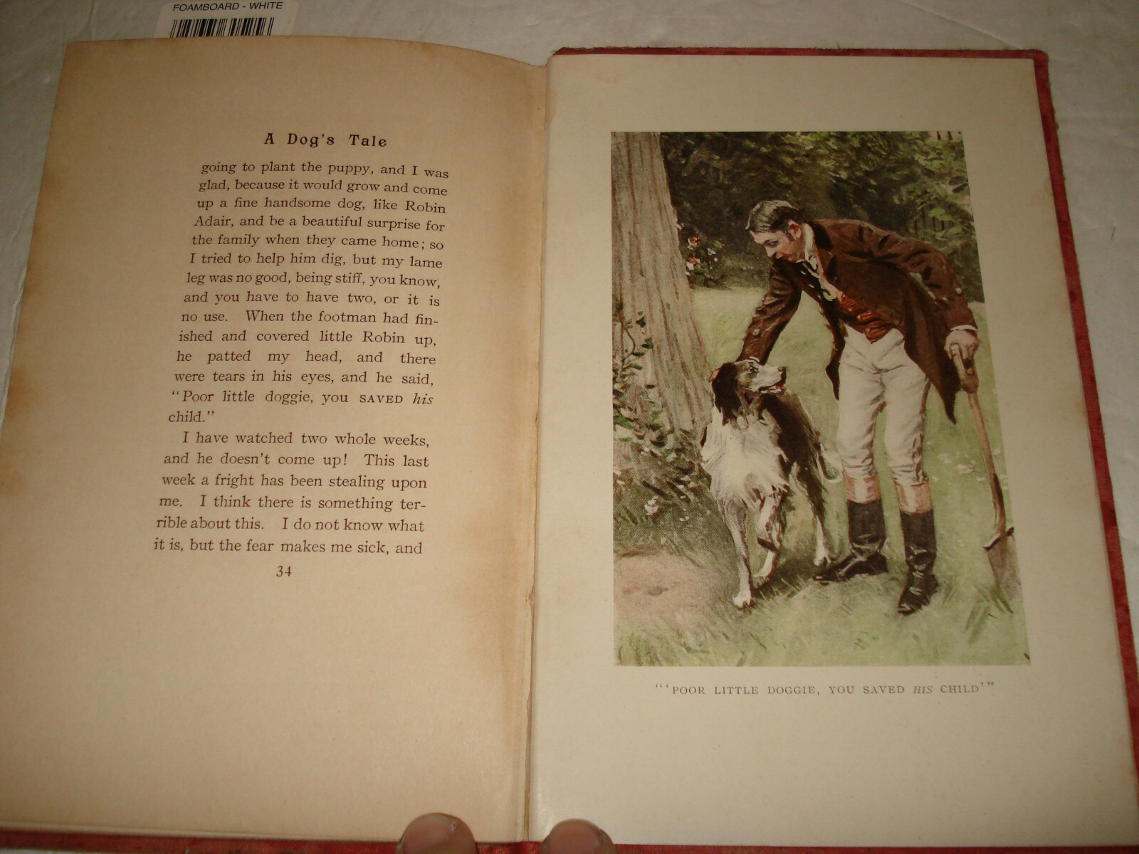 A Dog s Tale By Mark Twain Literature TRUE First Edition Published In a-dog-s-tale-by-mark-twain-literature-true-first-edition-published-in