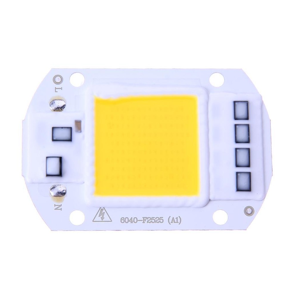 50W LEDs Floodlight Lighting COB Chips 220V Input Integrated Smart IC ...