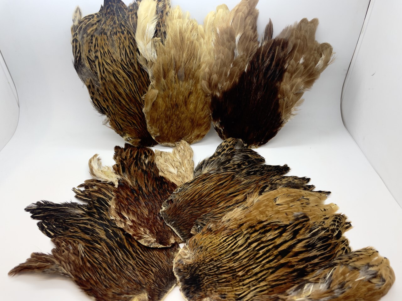 hen neck/capes natural colours for craft fly tying fly fishing | eBay UK