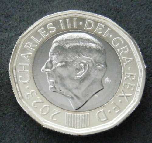 2023 £1 One Pound Coin Bees BU - Coronation Crown Privy Mark - In Stock ...