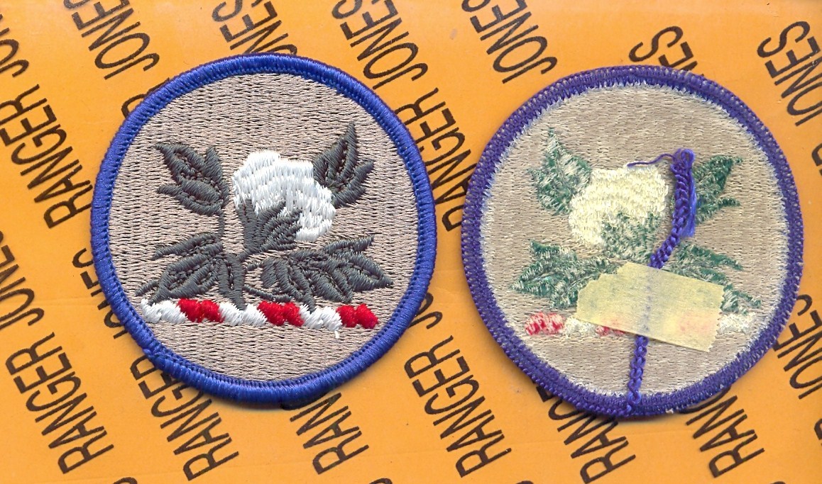 US Army Alabama Army National Guard ARNG patch m/e | eBay