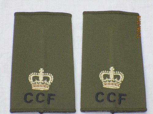 Rank loops: MAJOR, CCF, Olive, Combined Cadet Force | eBay