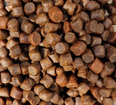 Ellipse Pellets Original & Flavoured Carp Barbel Tench 4 Sizes or Mixed ...