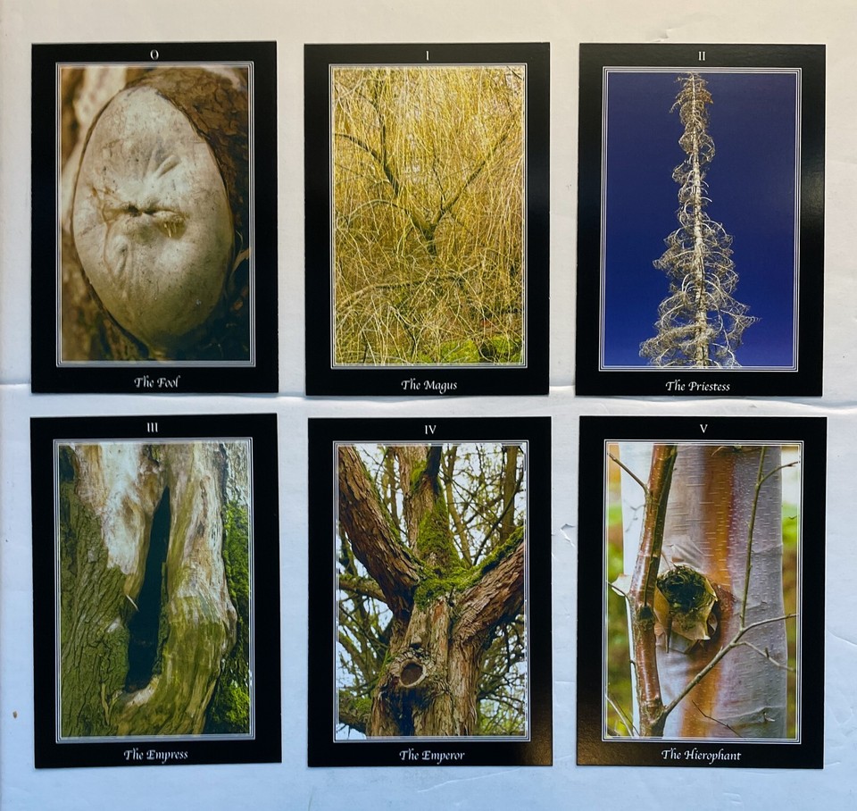 RARE!! - The Tree Tarot by Photographer Bek Wiltbank - c. 2009 - OOP ...