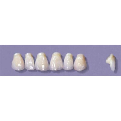 4 x Myerson Anterior Teeth Dental Prostheses Denture #PM2/58 (1X6 Card ...