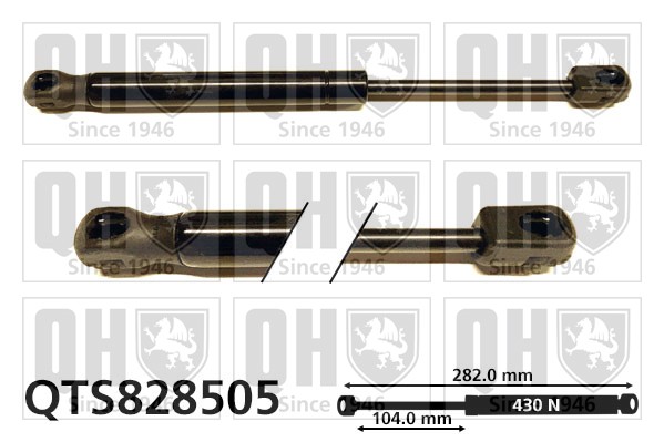 Bonnet Gas Strut QTS828505 Quinton Hazell Spring Lift Front 51238059044 ...