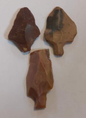 Neolithic & Paleolithic - Aterian