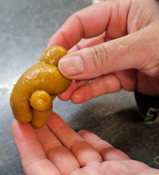 Sticky Rubber Stretchy Realistic Soft Fake Dog Poo Prank Joke Toy ...
