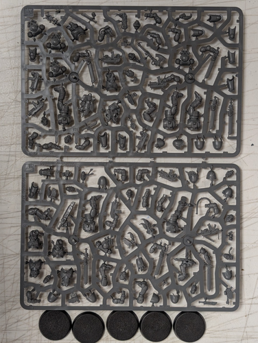 Space Wolves Grey Hunters, Primaris GW 40K | eBay