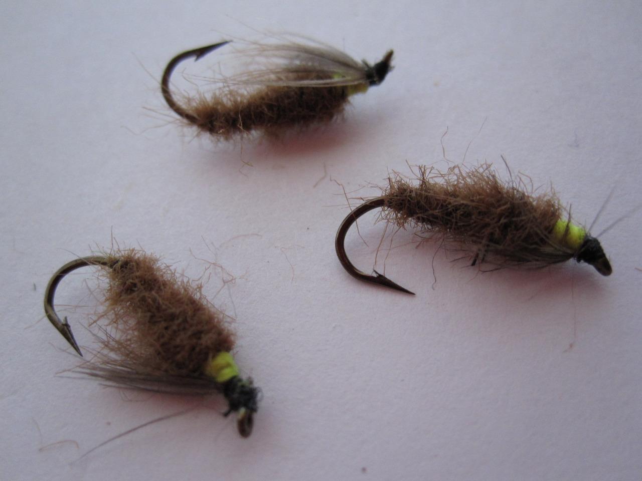 1 DZ D16-5 CASED CADDIS NYMPHS'S (SIZES AVAILABLE), NYMPHS | eBay