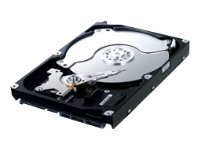 Samsung SpinPoint F1 160 GB,Internal,7200 RPM,3.5" (HD161GJ) HDD for ...