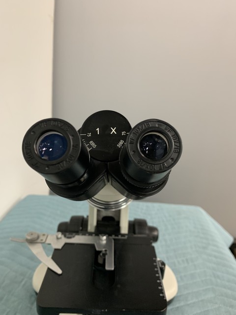 Seiler Westlab II Microscope W/ 4 Objectives for sale online | eBay