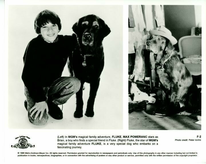 Max Pomeranc Today Pictures Of Max Pomeranc, Picture #87581 Pictures