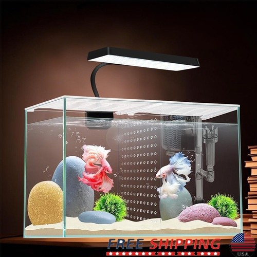 3G Glass Betta Aquarium Tank W/ LED Light Hanging Filter Dividers Gift ...