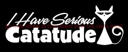 "I Have Serious Catatude" LOVE Cats decal Sticker, Kitten,Cats 9 inches ...