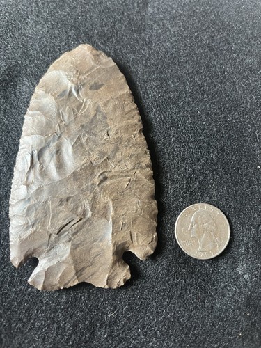 Pre 1600 100% Authentic Native American Indian Artifact Rare Pine tree ...