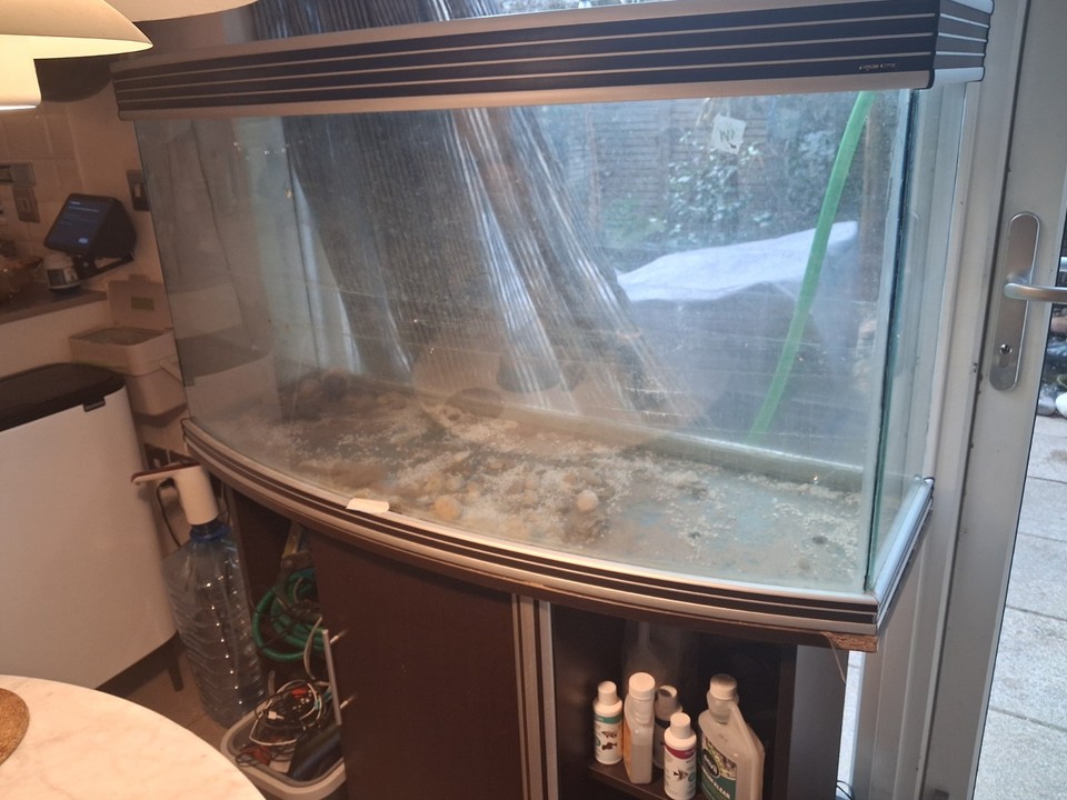 Aquience Bow Front 1200 Fish Tank Aquarium Plus Cabinet and Accessories ...