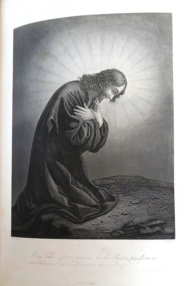 LARGE FULL LEATHER FAMILY CATHOLIC DOUAY VULGATE BIBLE; CA 1870, BRITE ...