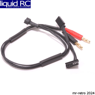 Monkey King RC 5926 Charge Leads 4mm - XH2S Balance - Futaba Rx | eBay