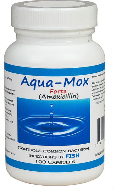 Aqua-Mox Amoxicillin Antibiotics For Aquariums & Fish Tanks 500mg 30Ct ...