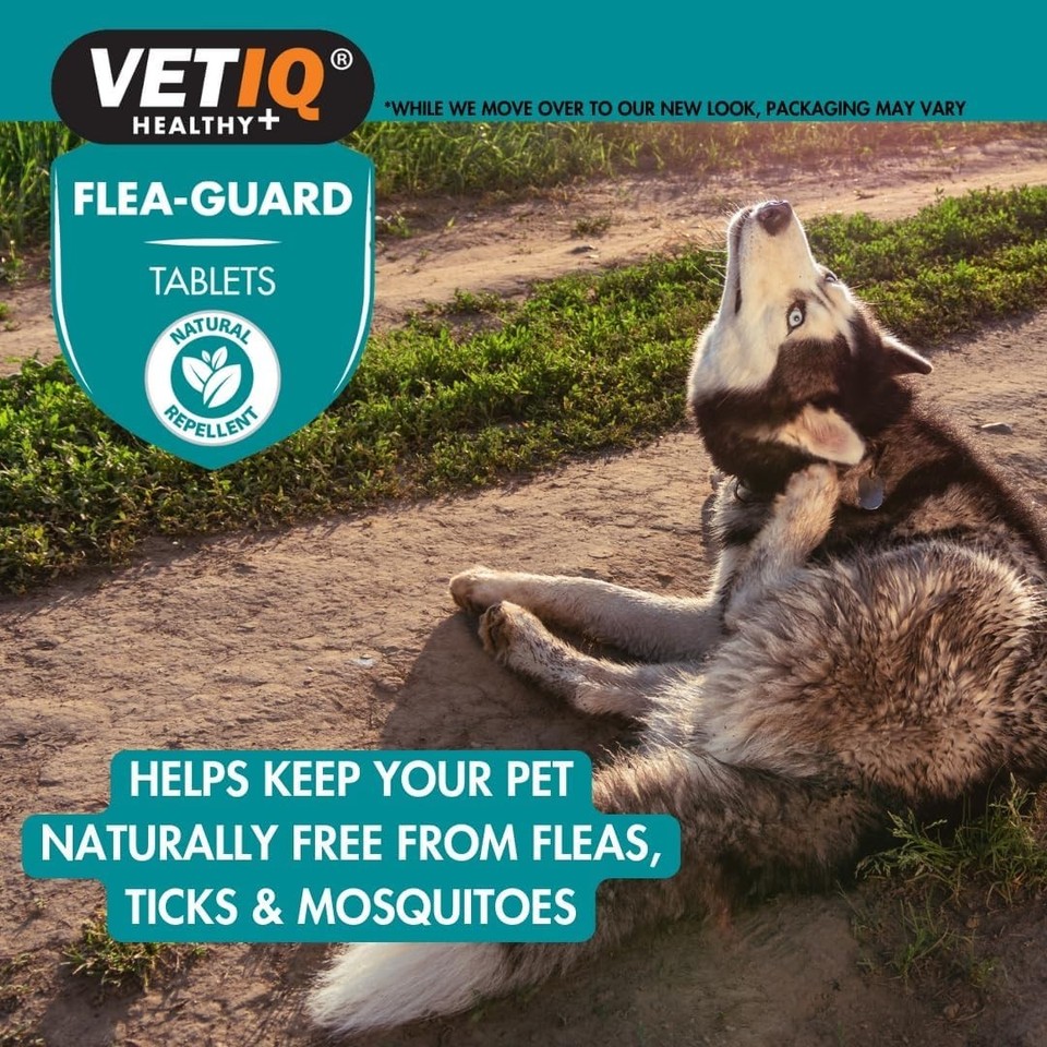 VetIQ Flea Guard, 90 Tablets, Flea Treatment for Dogs & Cats Keeps ...