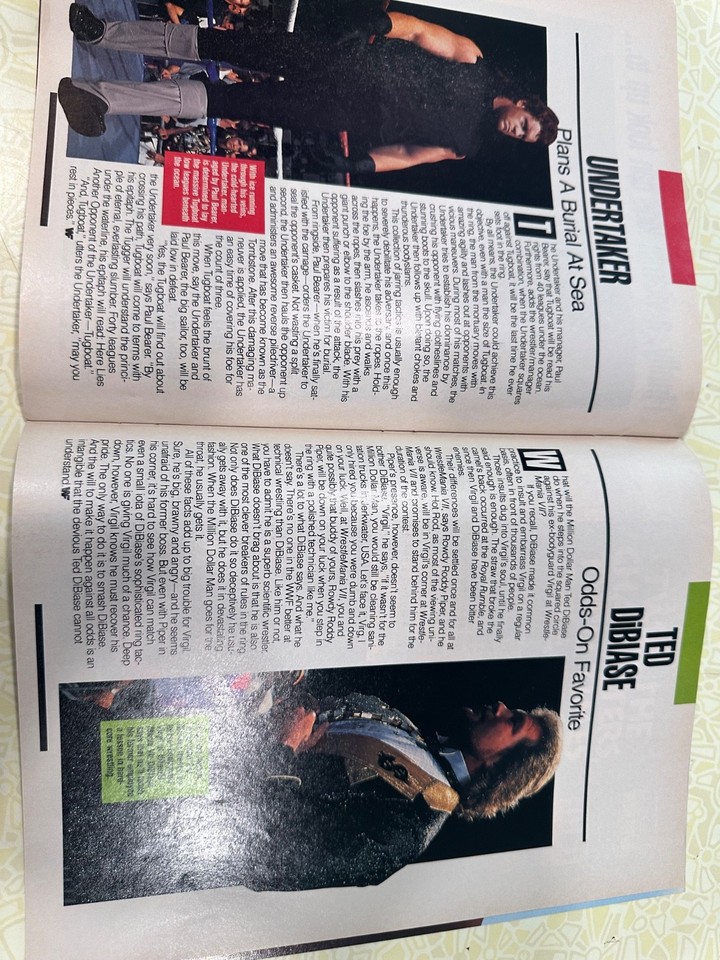 wwf pro wrestling magazine program # 189 DDT Jake | eBay