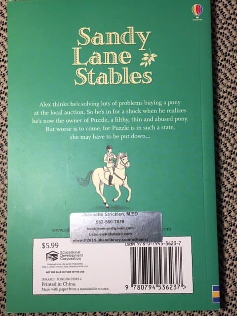 Sandy Lane Stables: The Perfect Pony - Michelle Bates : Usborne Books ...