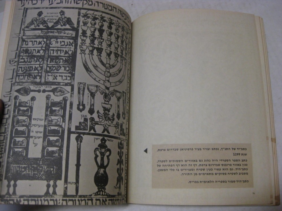 Hebrew HISTORY OF THE HEBREW ALPHABET Toldot Haktav Haivri תולדות הכתב ...