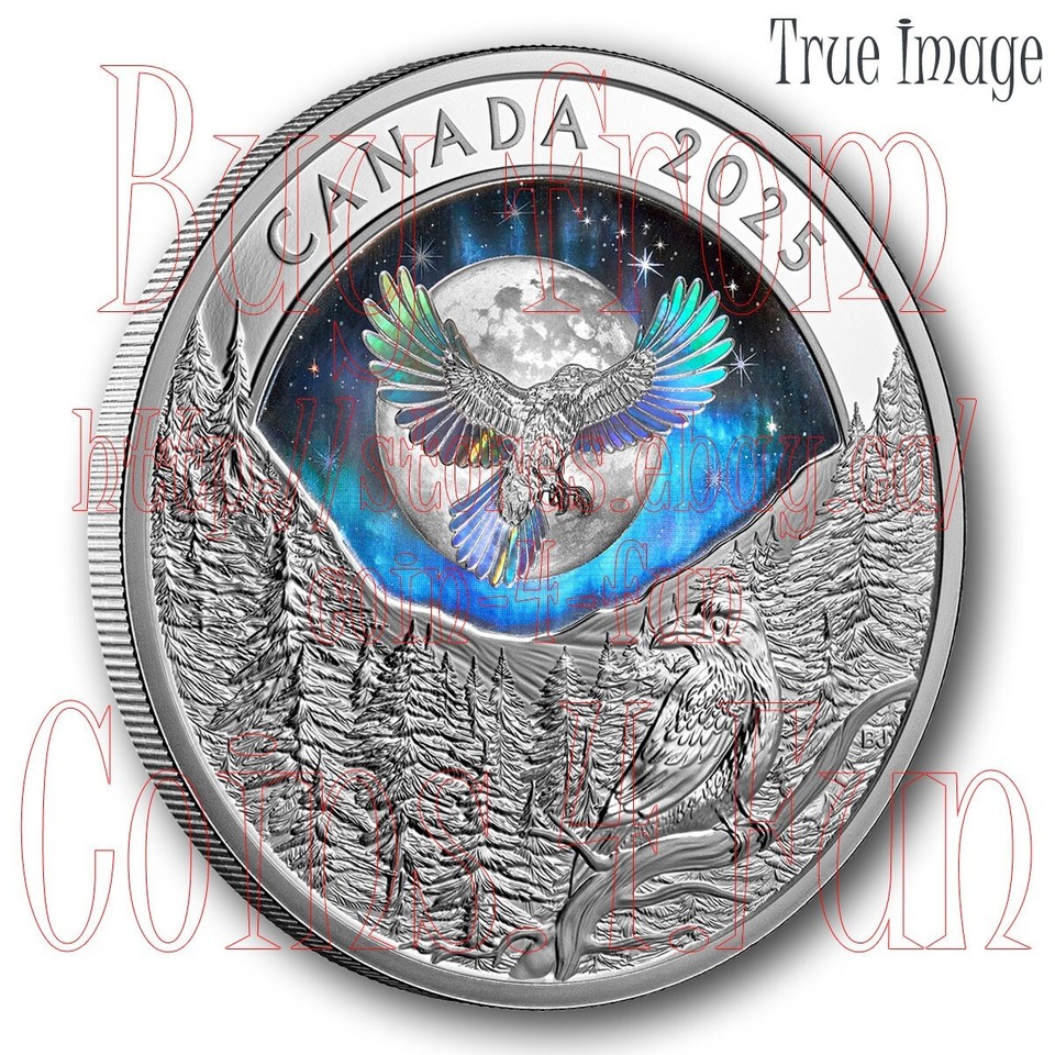 2025 - Moon Sky - Raven - $20 Proof Pure Silver Holographic Coin ...