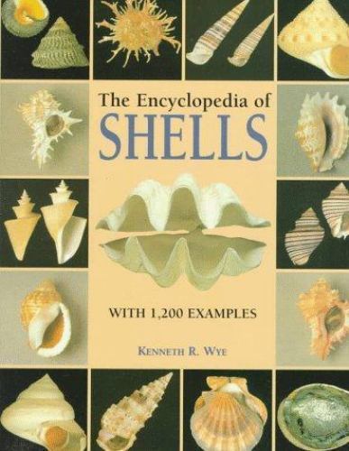 Encyclopedia of Shells by Kenneth R. Wye (1998, Hardcover) for sale ...