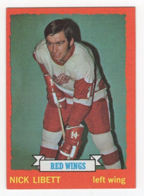 1973-74 Topps Hockey Card #49 Nick Libett - Detroit Red Wings | eBay