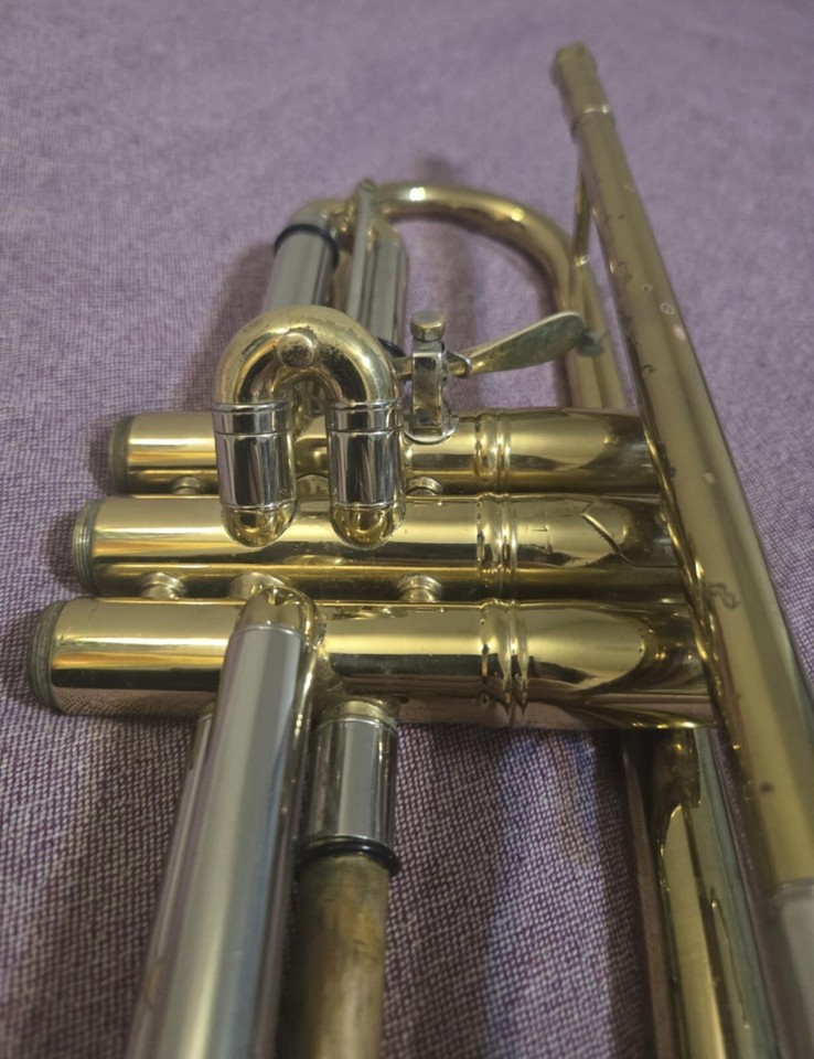 Bach Stradivarius Professional B-flat Trumpet - Vintage + Torpedo Case ...