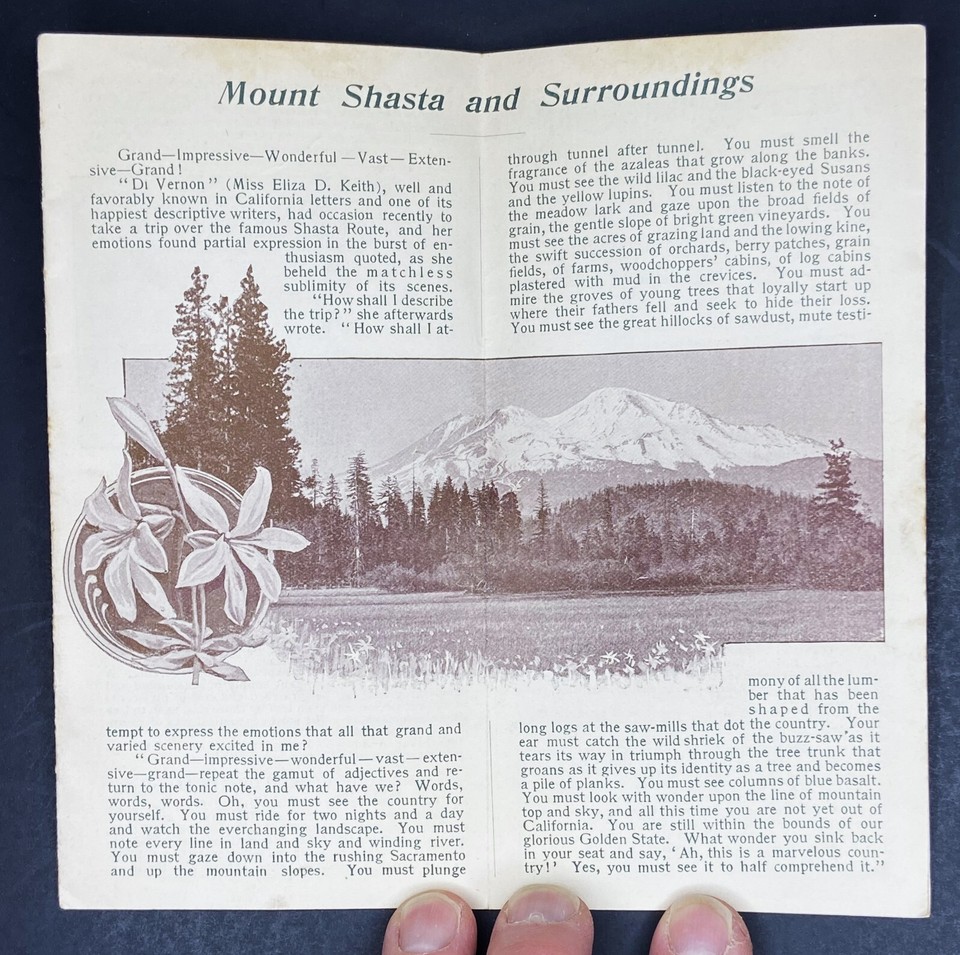 RARE Travel Brochure Camping Outings Santa Cruz Shasta Mountains ...