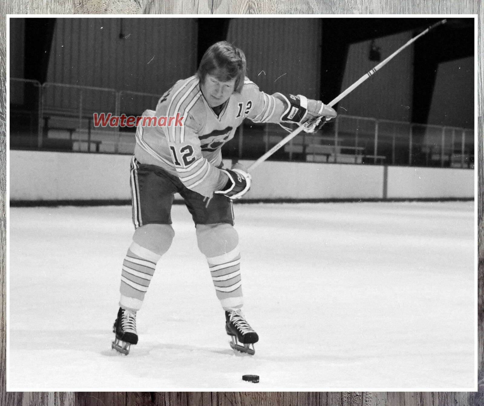 WHA 1974 Chicago Cougars Pat Stapleton Black & White 8 X 10 Photo ...