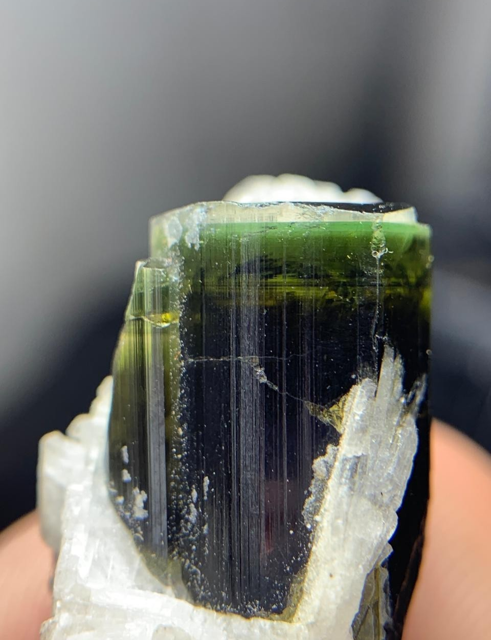 Natural Top Green Cap Tourmaline Crystal 40Ct– Mineral Specimen from ...