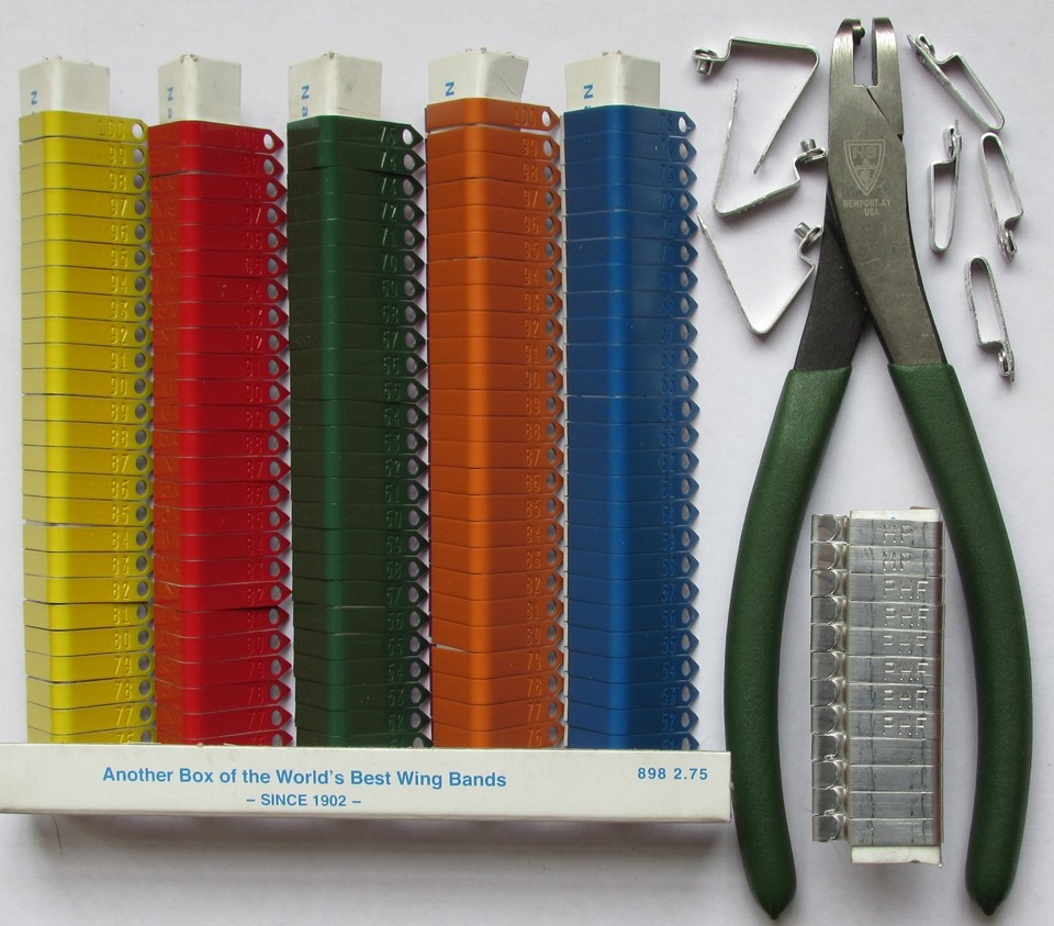 Zip Wing Band Pliers (1 Pack) Wing Tag Application Tool Poultry Ducks ...