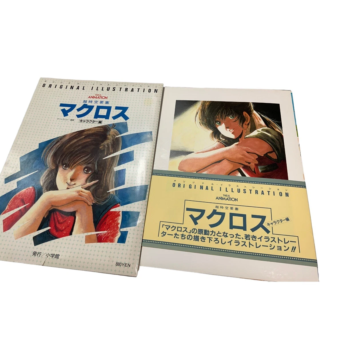 Robotech Macross Characters