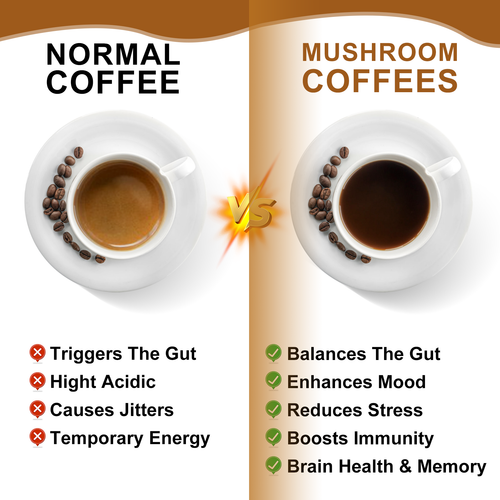 Mushroom Coffee-Organic Coffee Supplement - Boost Energy 70g/120g/250g ...
