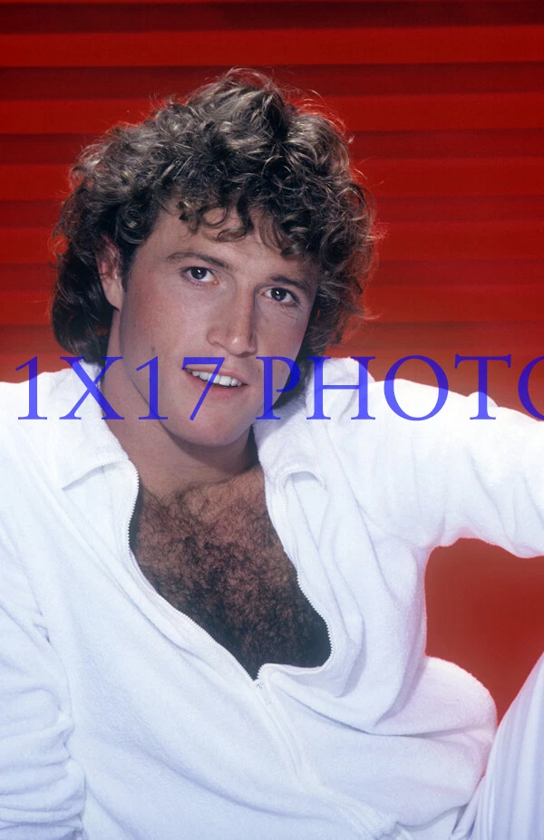 Andy Gibb Beard