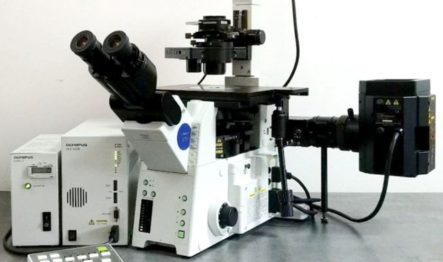 Olympus IX81 Motorized Inverted Fluorescence Microscope Unit 5 for sale ...