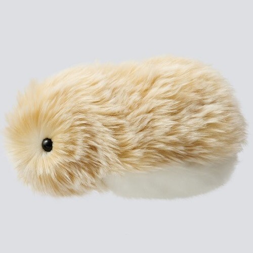 1Day Ship Casio AI Pet Moflin Communication Robot Gold PE-M10GD AC100V New | eBay