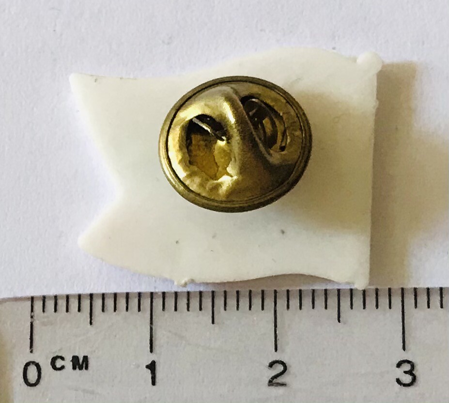 Paducah KY Kentucky Indian Design Flag Pin Badge Rare Vintage (H7) | eBay