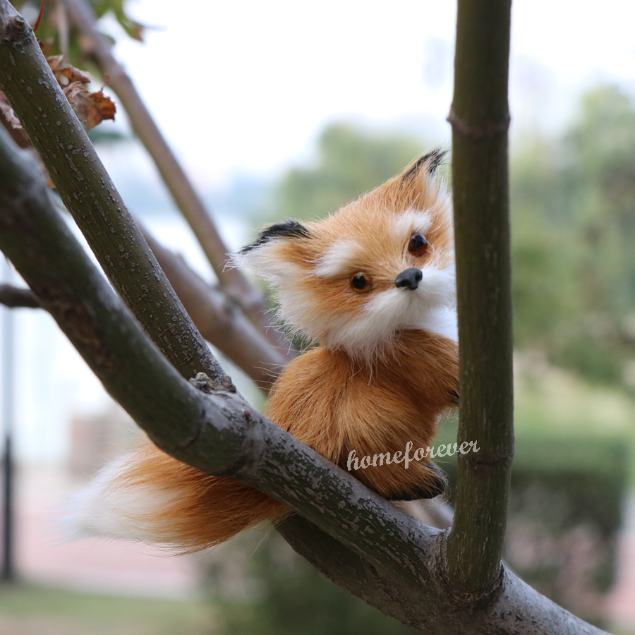 Cute Fluffy Fox 10 Cute Fox Photos And Fun Facts To Brighten Your Day