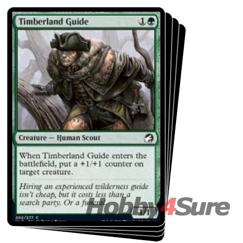 Timberland Guide X4 M/NM Magic: The Gathering MTG Innistrad: Midnight ...